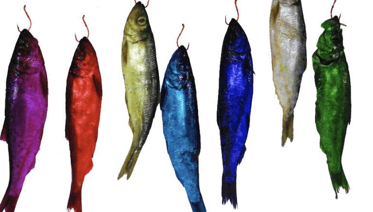 Product - Pautzke Fire Brine - Pautzke Bait Co