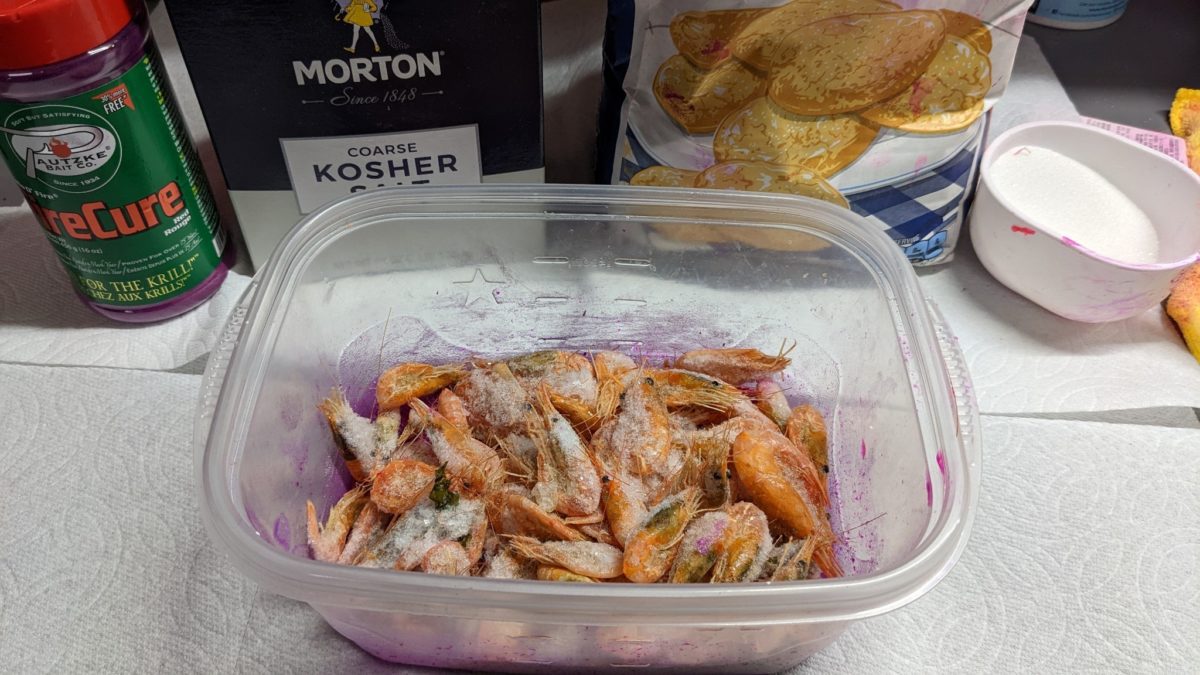 Want Perfect Steelhead Catching Shrimp Like This? Try This Recipe ...