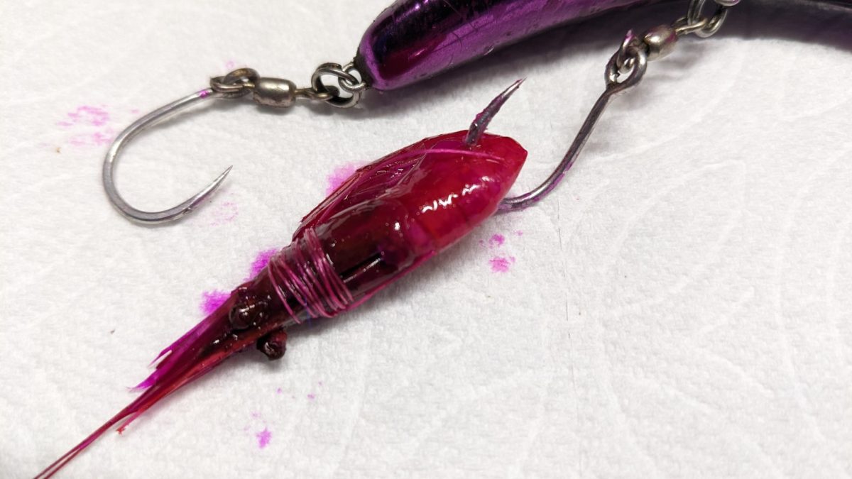 Want Perfect Steelhead Catching Shrimp Like This? Try This Recipe ...