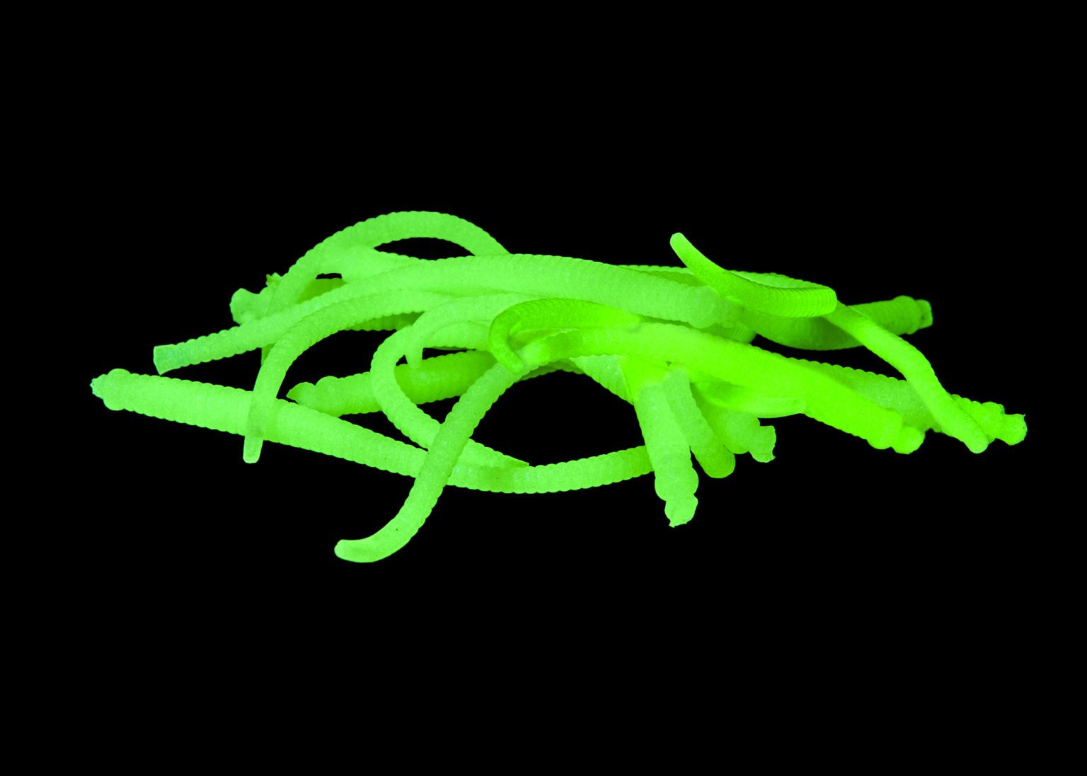 Fire Worms - Glow - Pautzke Bait Co