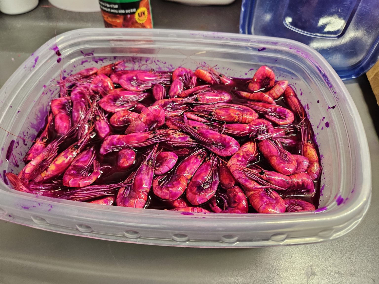 Shrimp & Prawn Curing Just Got a Makeover - Pautzke Bait Co